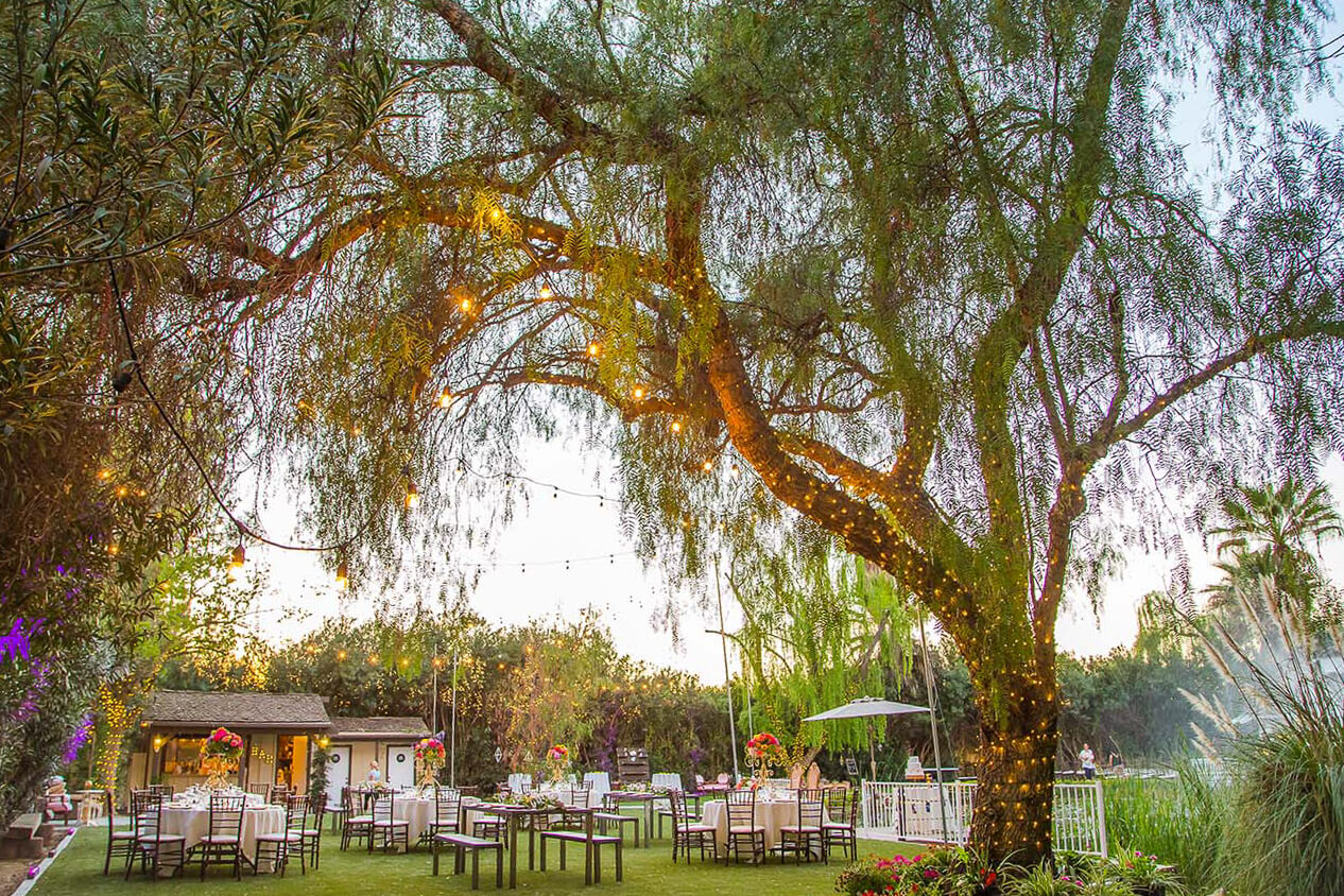 The Orchard: Enchanting Garden Oasis in Menifee CA